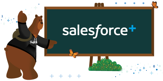 Developer Portal | Salesforce Developers